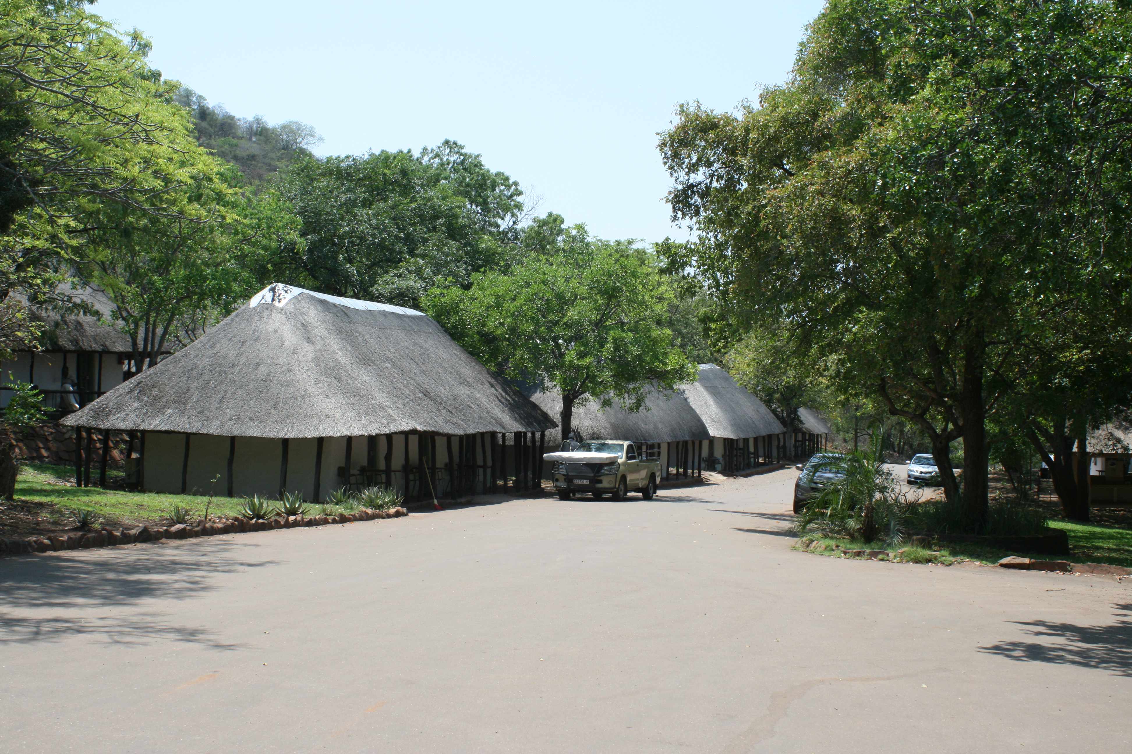 Punda Maria – Krugerpark – Krugerpark Wildlife Afrika Wilde Dierenpark ...